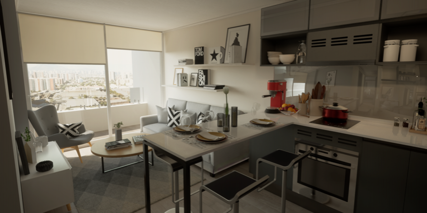 Zonapropia - Acción Briones Luco